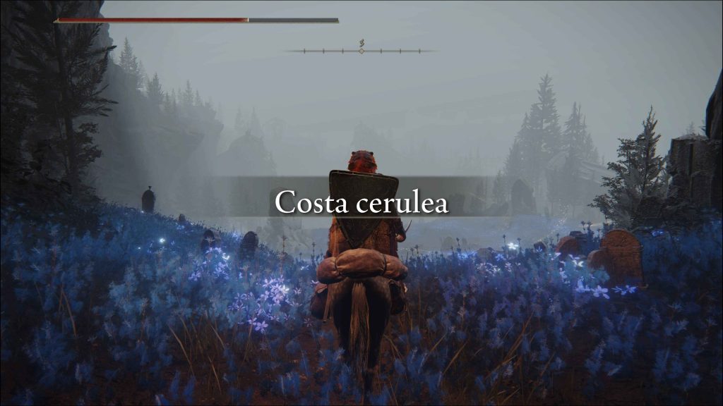 Elden Ring: Shadow of the Erdtree | Come raggiungere la Costa Cerulea ...